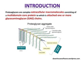 Proteoglycans and glycoproteins | PPTX