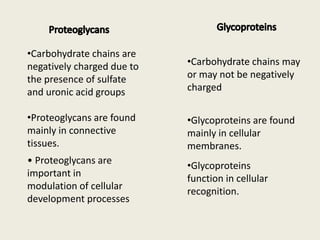 Proteoglycan Vs Glycoprotein