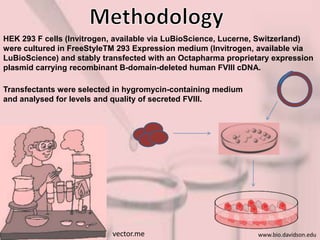 Recombinant protein-Factor VIII | PPTX
