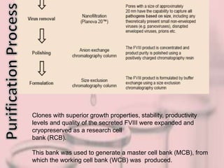 Recombinant protein-Factor VIII | PPTX