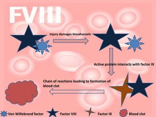 Recombinant protein-Factor VIII | PPTX