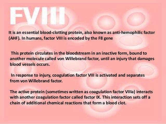Recombinant protein-Factor VIII