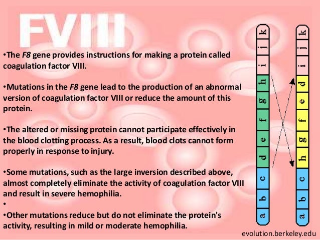 Recombinant protein-Factor VIII