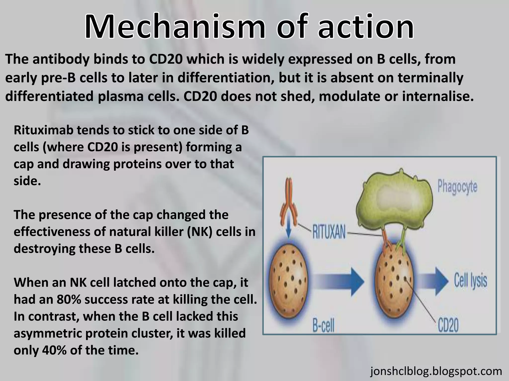 Production of Monoclonal Antibodies and its application : Rituximab | PPTX