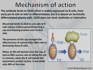 Rituximab Mechanism Of Action