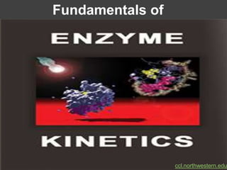 Enzyme kinetics | PPTX