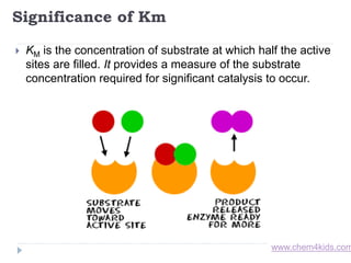 Enzyme kinetics | PPTX