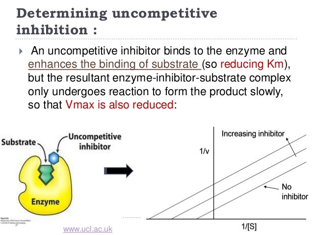 Uncompetitive Inhibitor