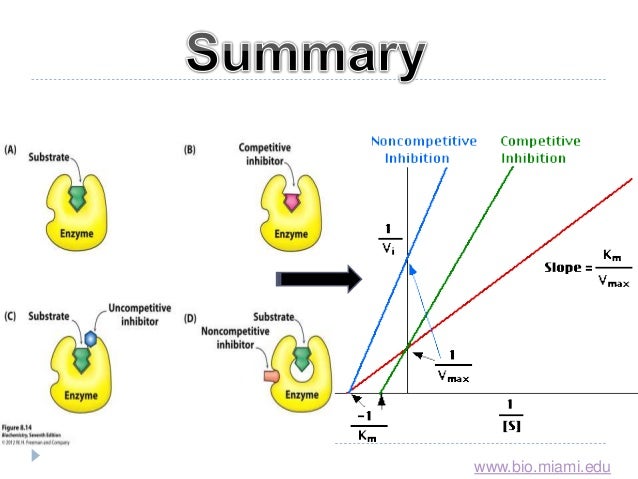 Enzyme kinetics
