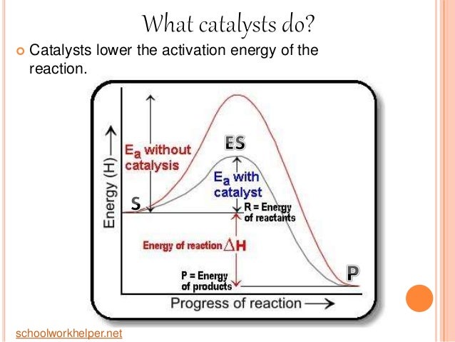 Enzyme kinetics