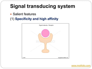 Biosignalling | PPTX