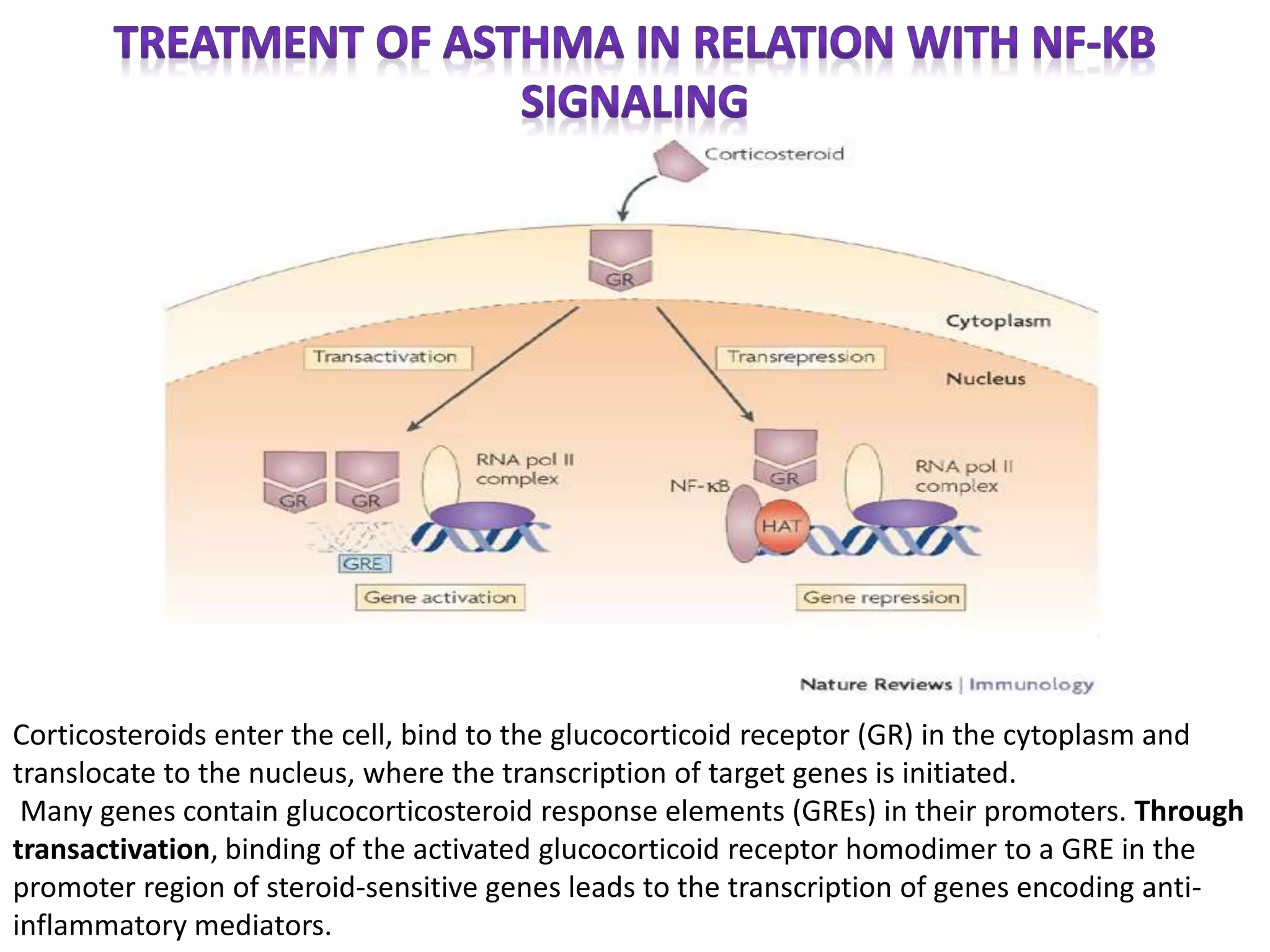 Nf-Kappa B signalling | PPTX