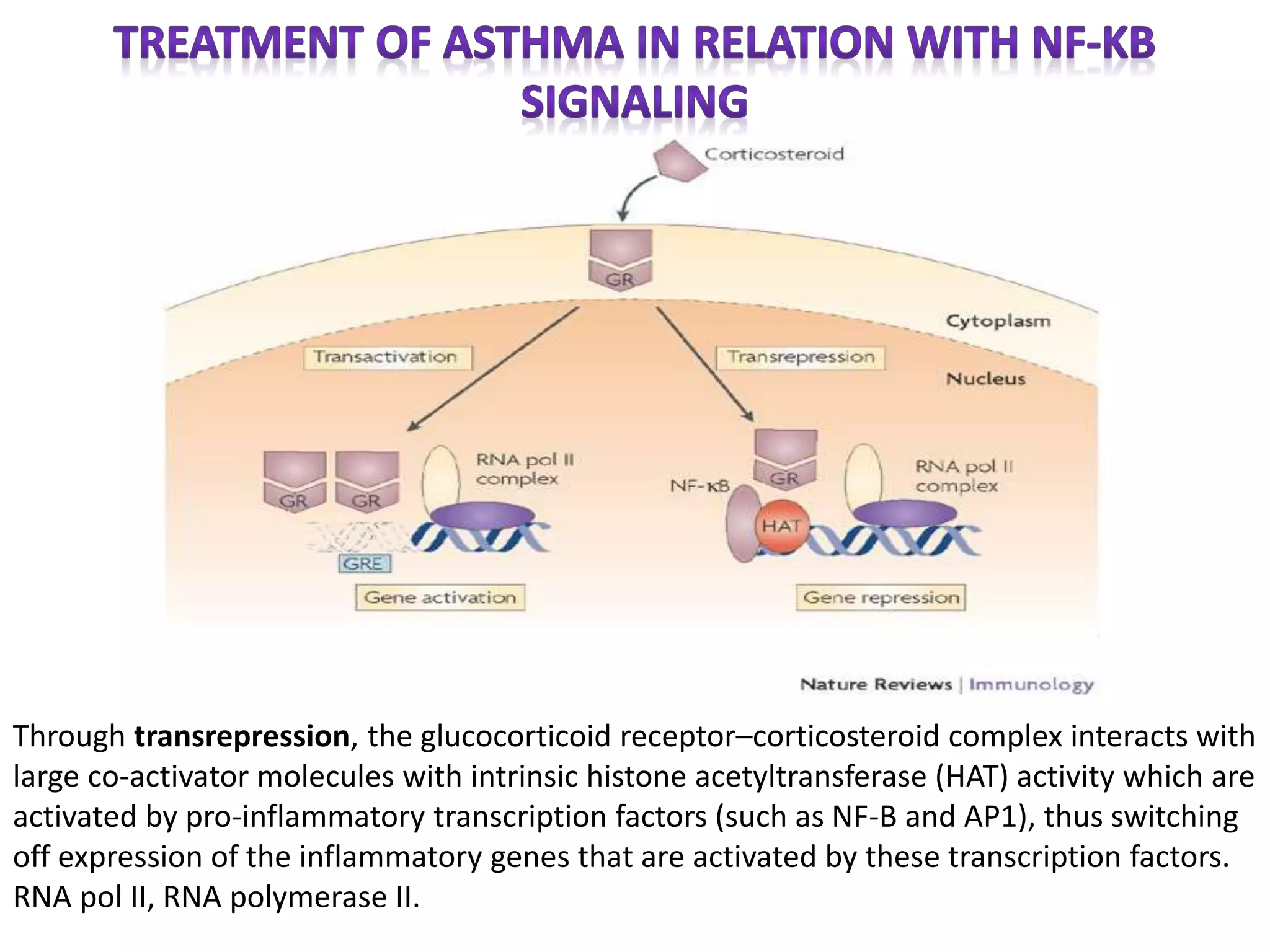 Nf-Kappa B signalling | PPTX