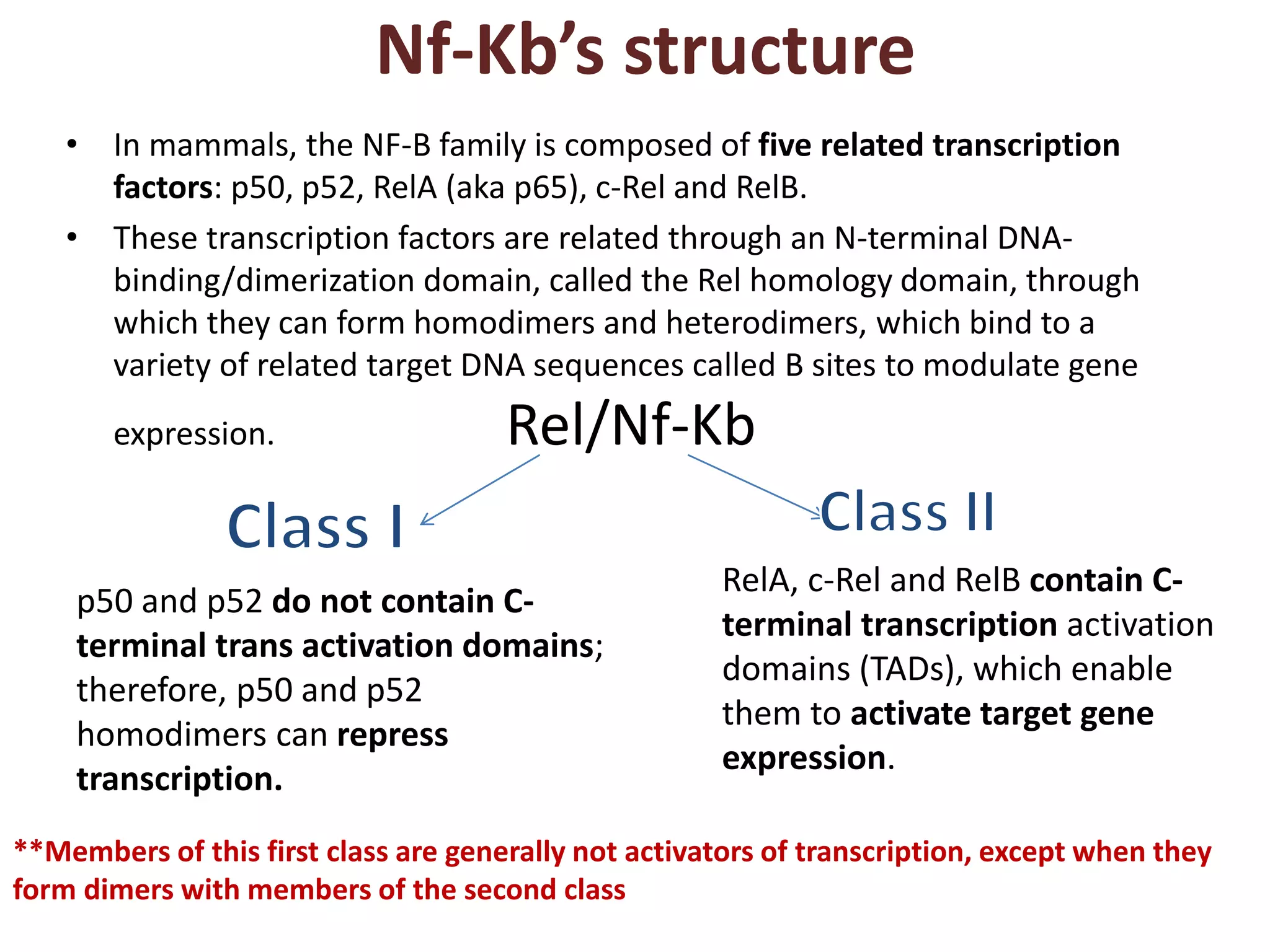 Nf-Kappa B signalling | PPTX