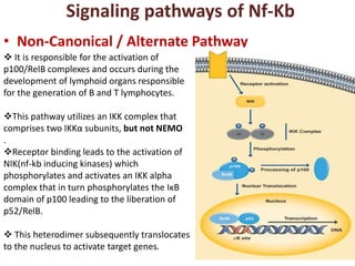 Nf-Kappa B signalling | PPTX