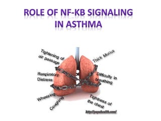 Nf-Kappa B signalling | PPTX