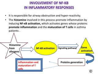 Nf-Kappa B signalling | PPTX