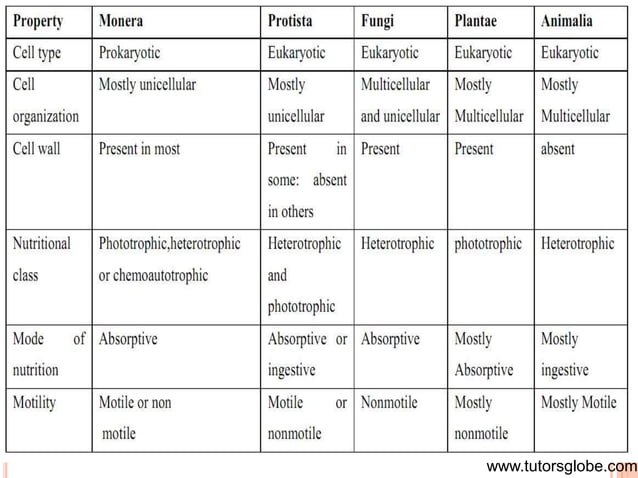 Microbial taxonomy and classification system | PPTX | Biological Sciences | Science