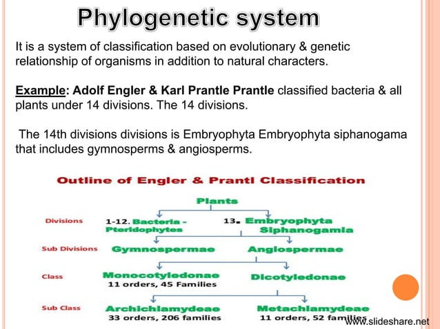 Microbial taxonomy and classification system | PPTX | Biological Sciences | Science