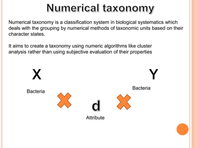 Microbial taxonomy and classification system | PPT