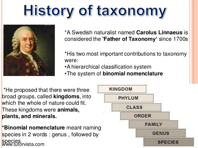 Microbial taxonomy and classification system