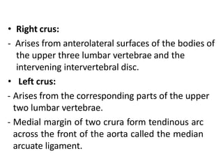 Cardiopulmonary Arrest on adult health nursing | PPTX