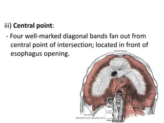 Cardiopulmonary Arrest on adult health nursing | PPTX