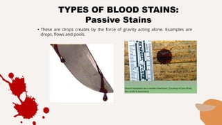 SAKSH_PPT_BLOOD_STAIN_PATTERN_ANALYSIS.pptx