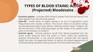 SAKSH_PPT_BLOOD_STAIN_PATTERN_ANALYSIS.pptx