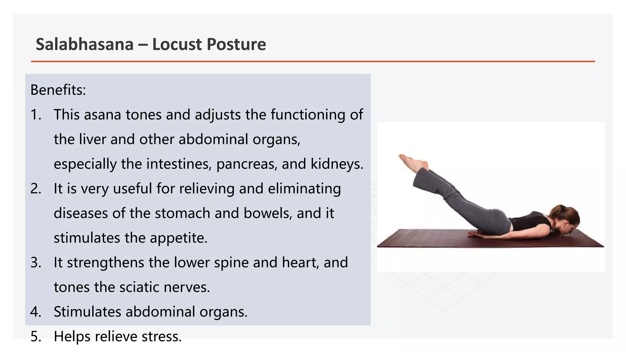alabhasana – Locust Postureptx | PPT