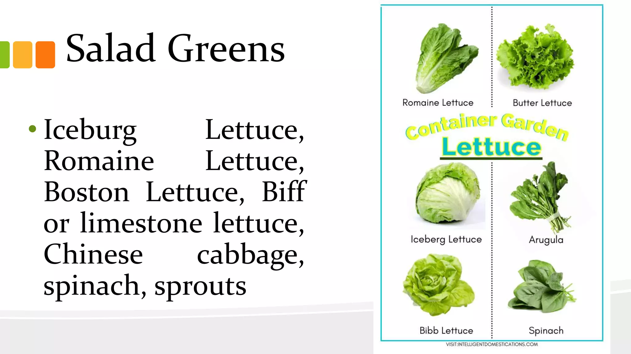 Salad and Salad Dressing.pptx