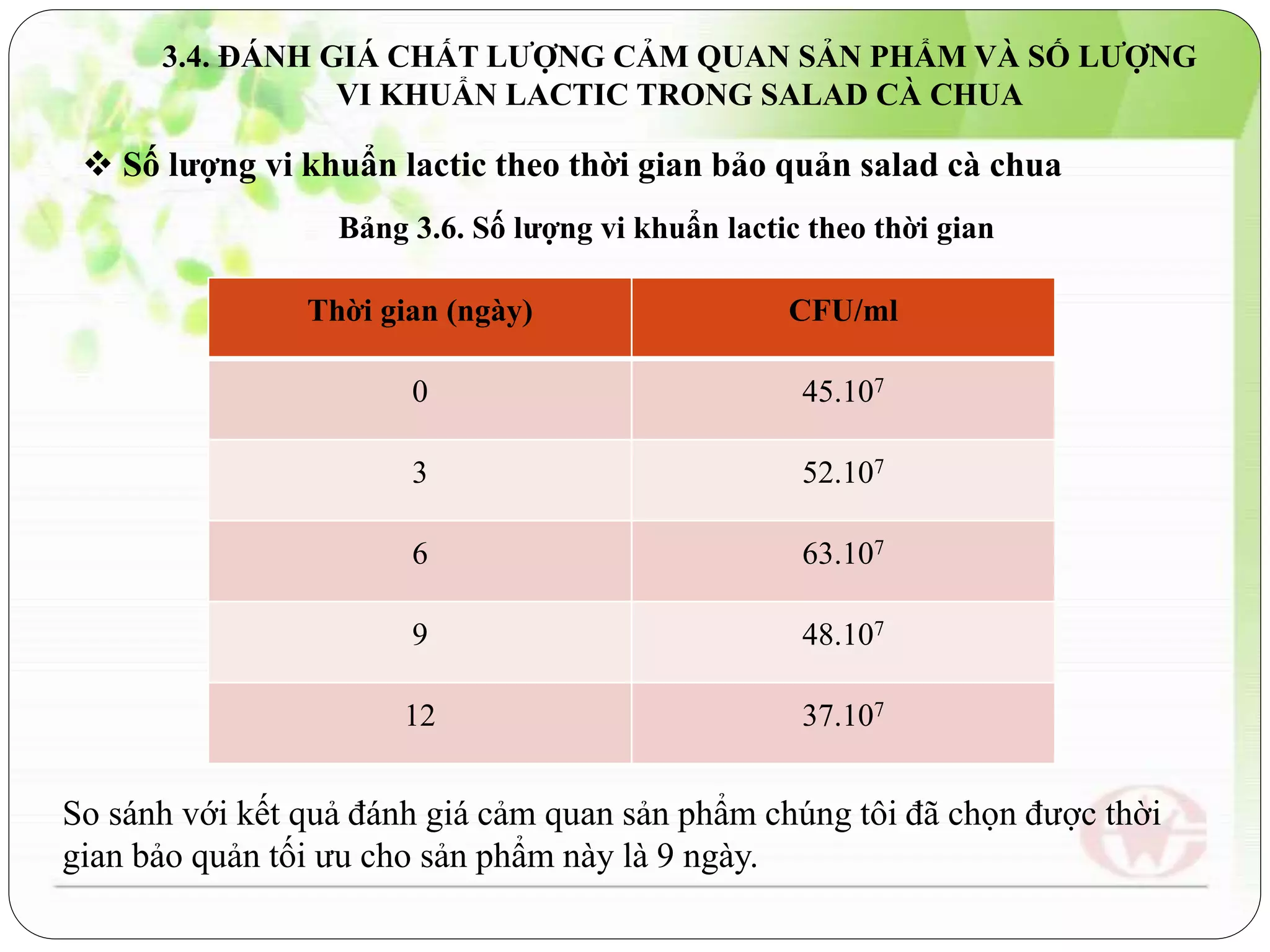 Salad từ vi khuẩn lactic.pptx