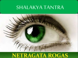 Salakya tantra netra roga classification as in different texts in ...