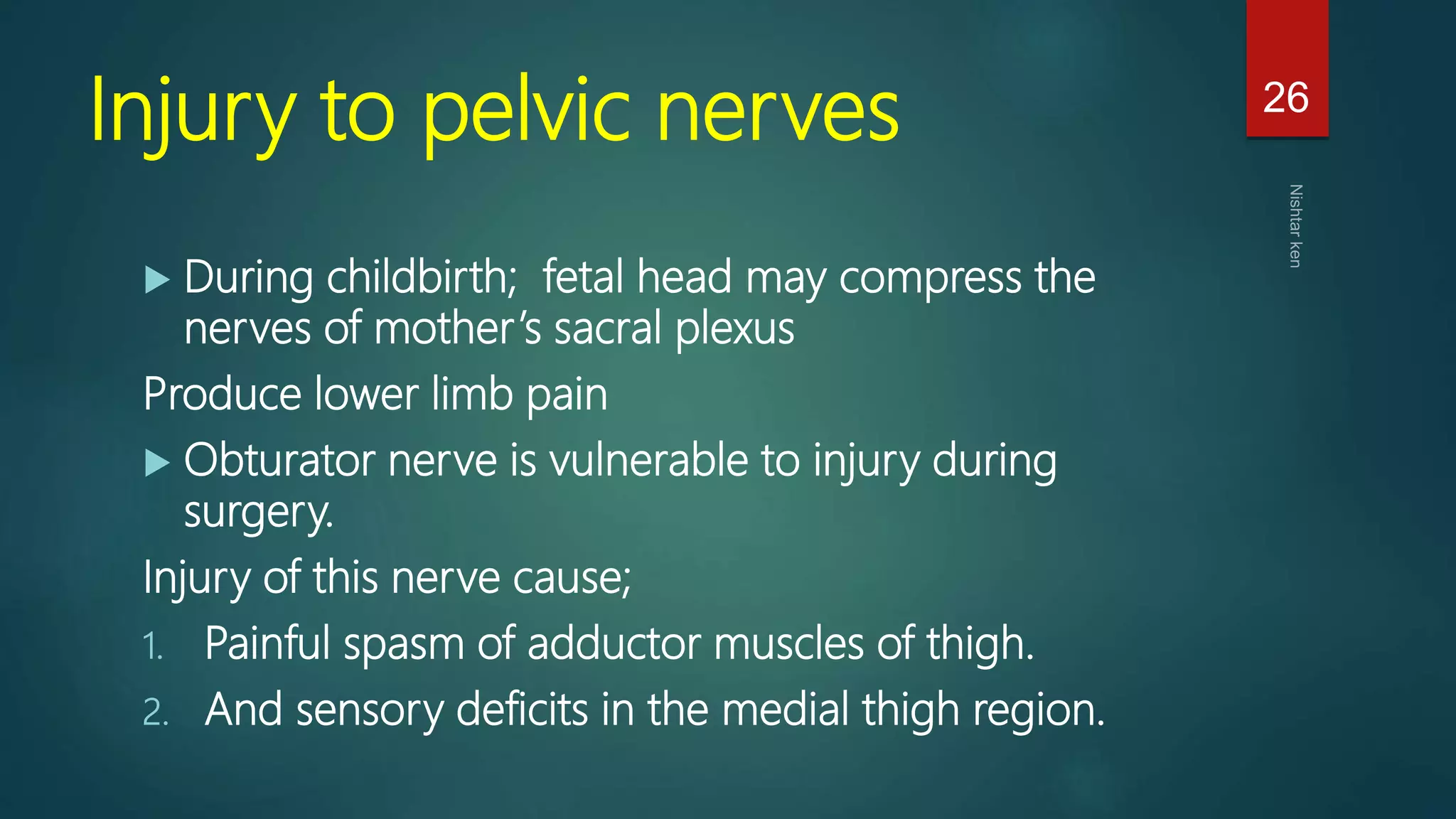 pelvic innervation | PPTX