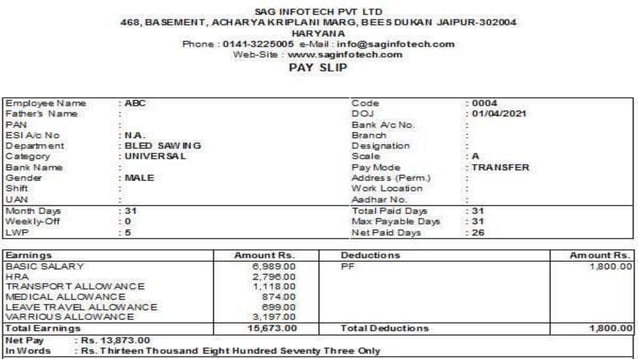 View Complete Details of Salary Slip and Its Parts | PDF