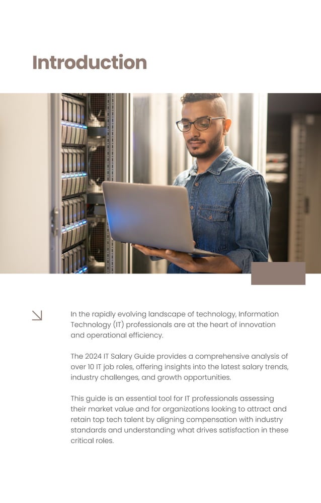 Information Technology Salary Guide Reference | PDF