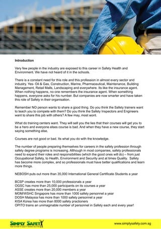 Salary guide and career path of a safety professional | PDF