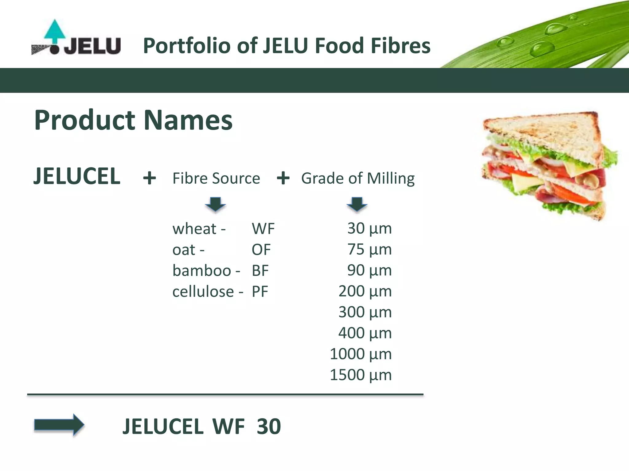 Fiber and Powders By Salasar Fibers, Nagpur | PPT