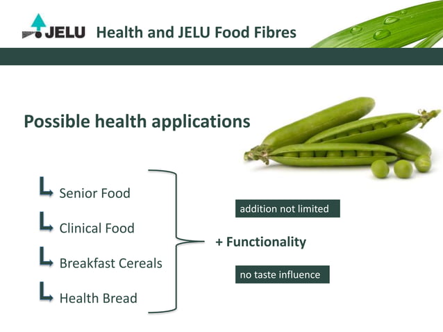 Fiber and Powders By Salasar Fibers, Nagpur | PPT