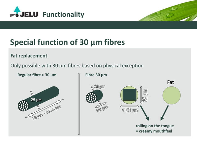 Fiber and Powders By Salasar Fibers, Nagpur | PPT