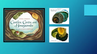 Using Nonfiction Picture Books as Mentor Texts for Student Writing