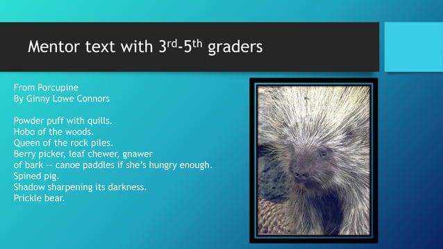 Using Nonfiction Picture Books as Mentor Texts for Student Writing