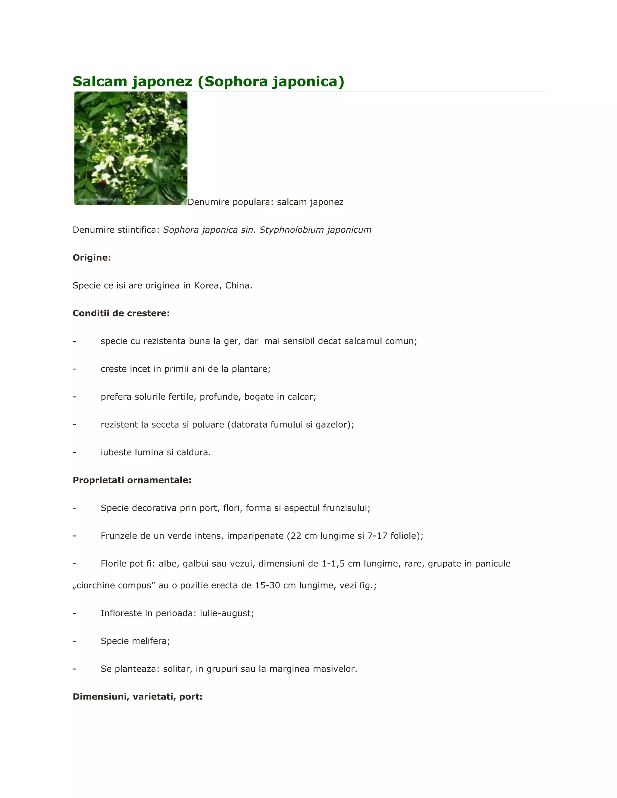 Salcam japonez | DOCX