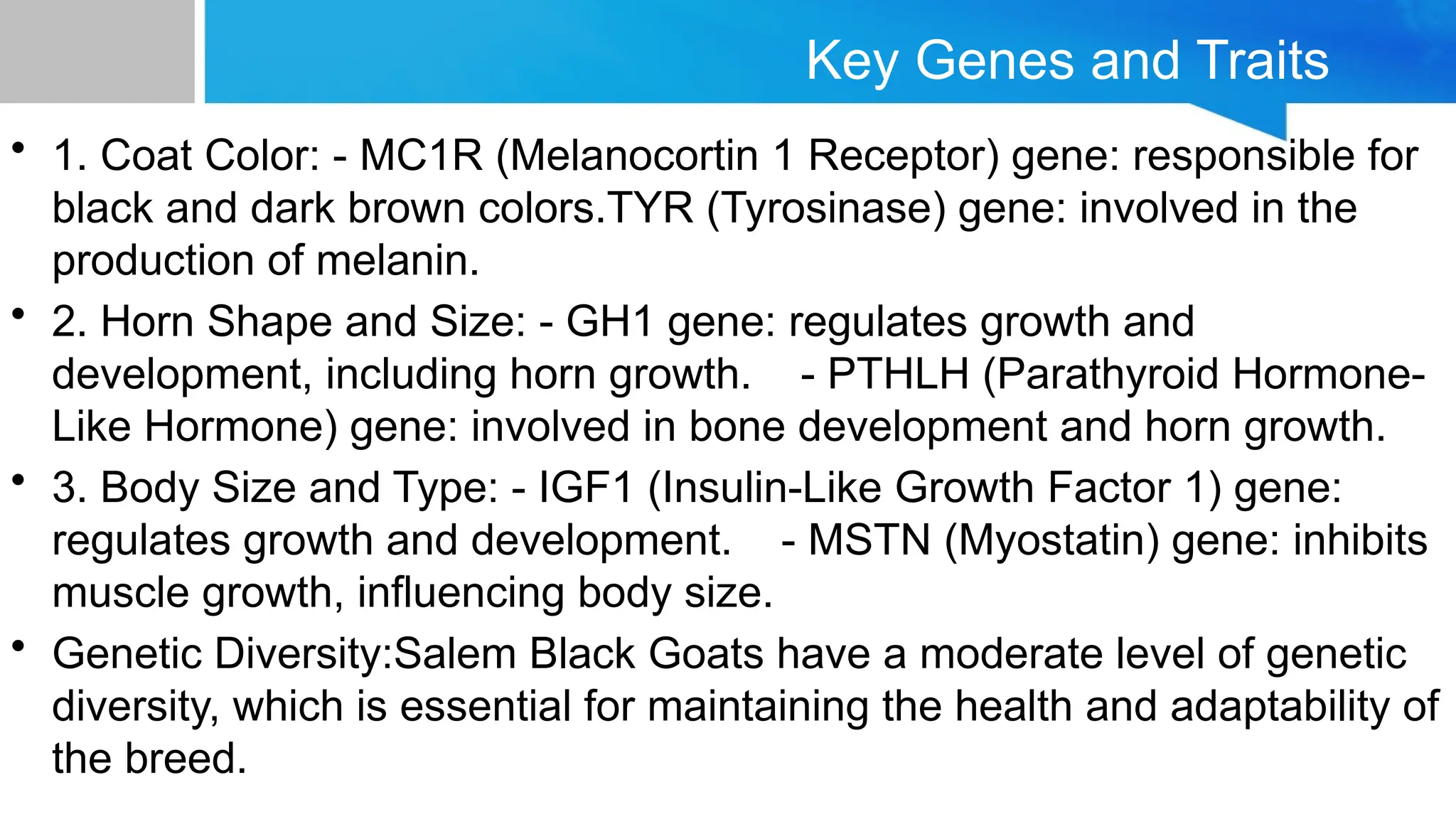 VetSALEM BLACK GOAT CHARACTERISTICS.pptx