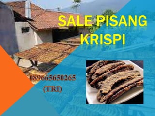 Sale pisang krispi | PPTX