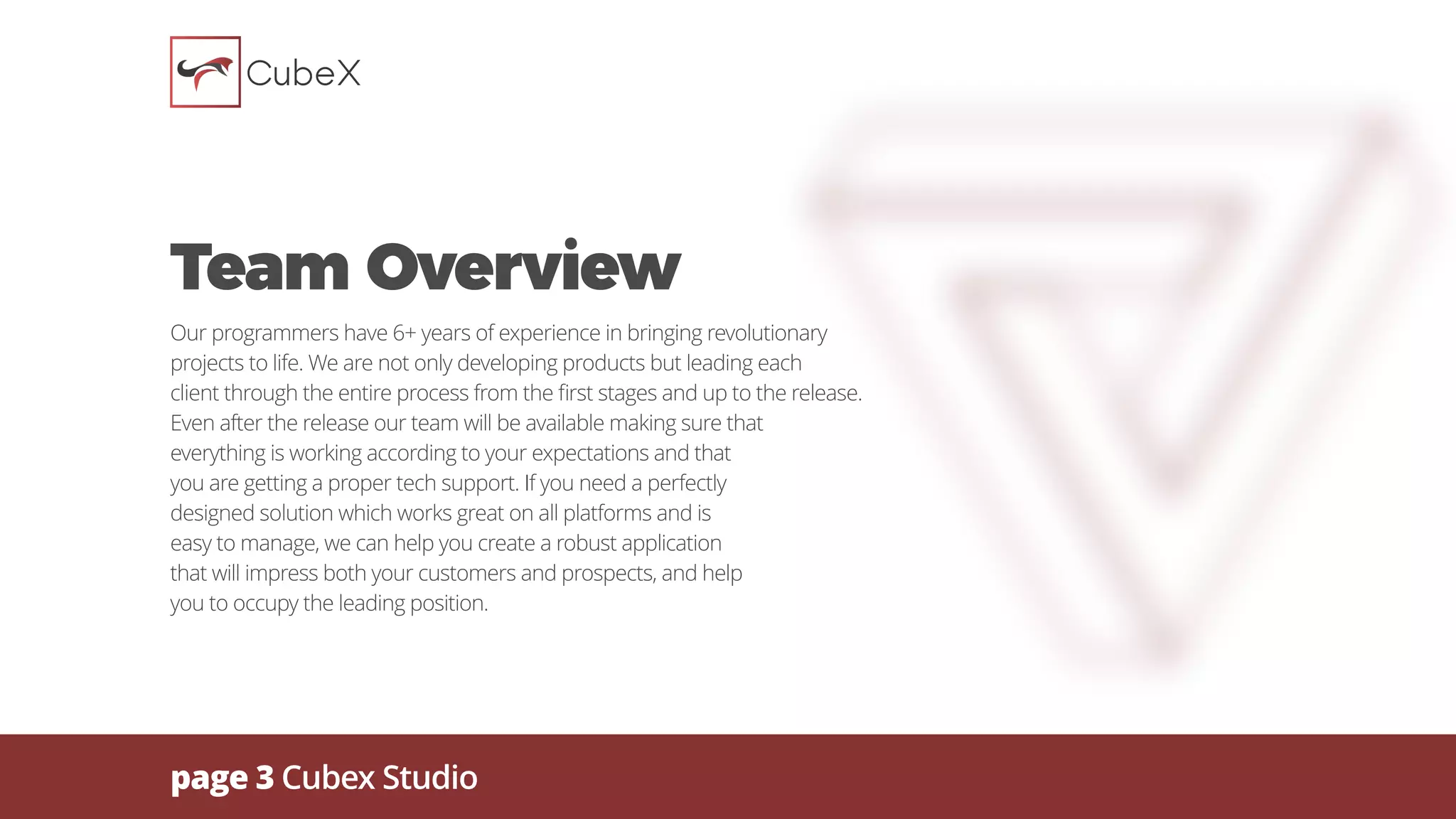 Software Development Studio Cubex | PDF