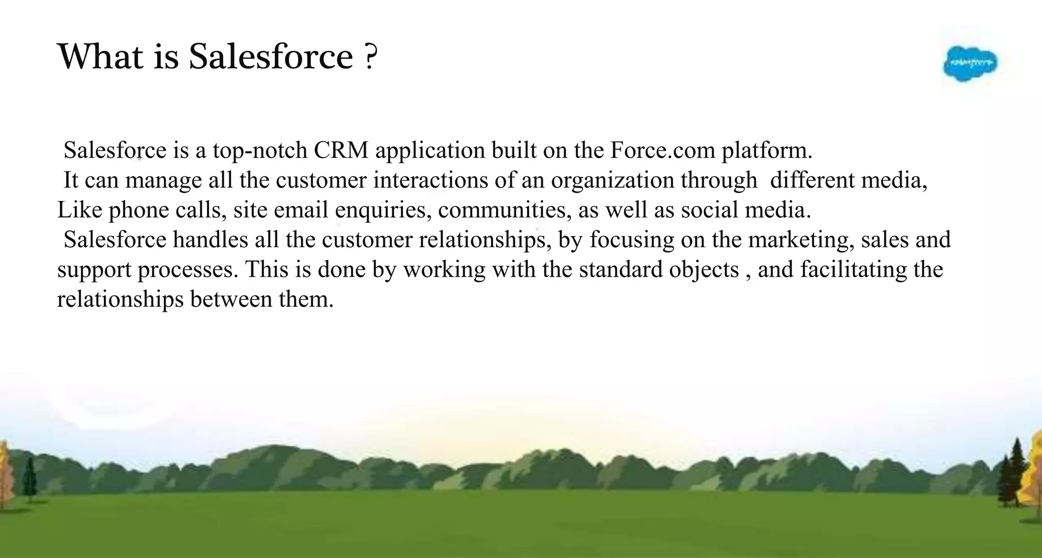 salesforce ppt | PPTX