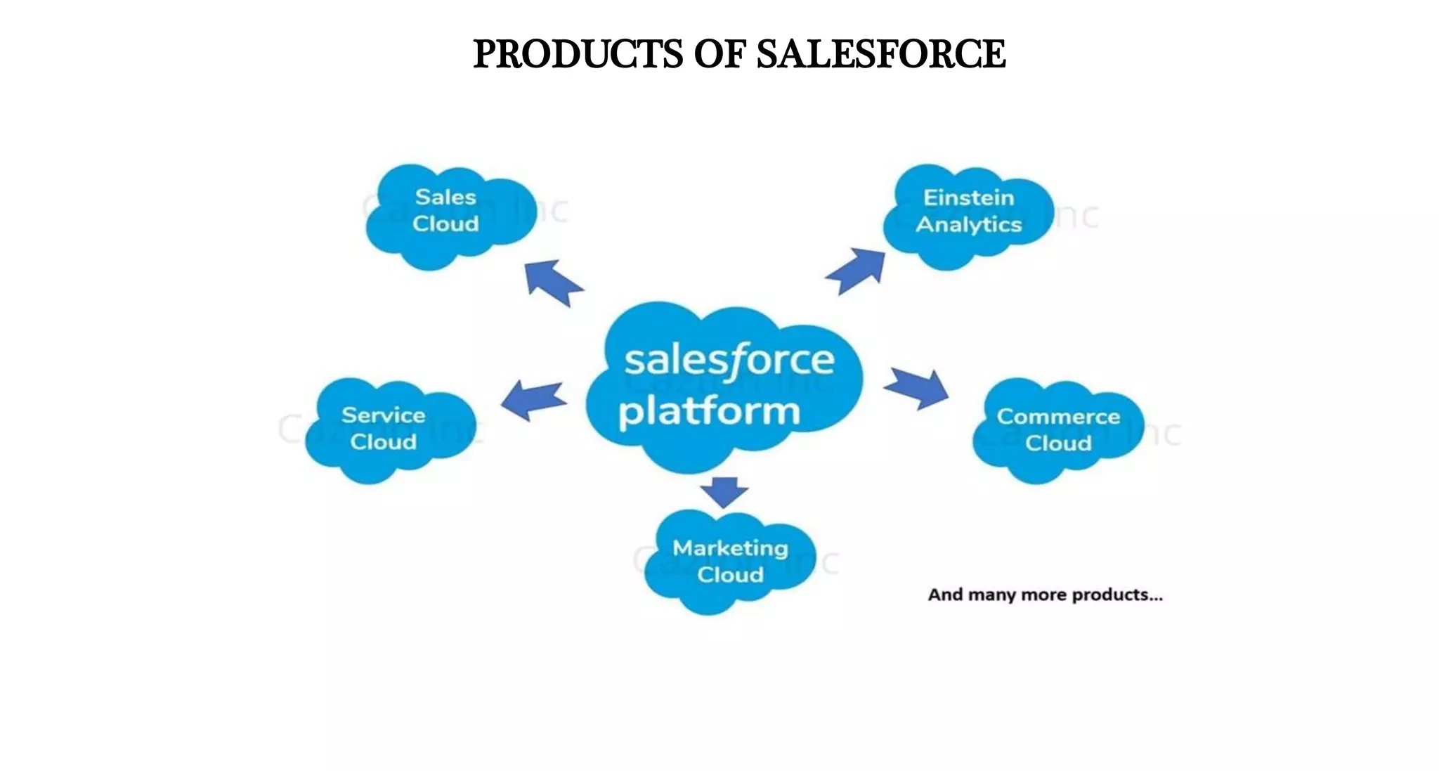 salesforce ppt | PPTX