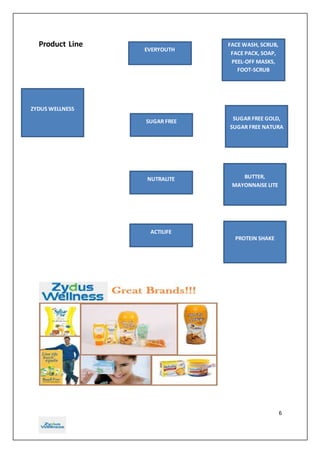 Sales and distribution model of zydus wellnes | DOCX