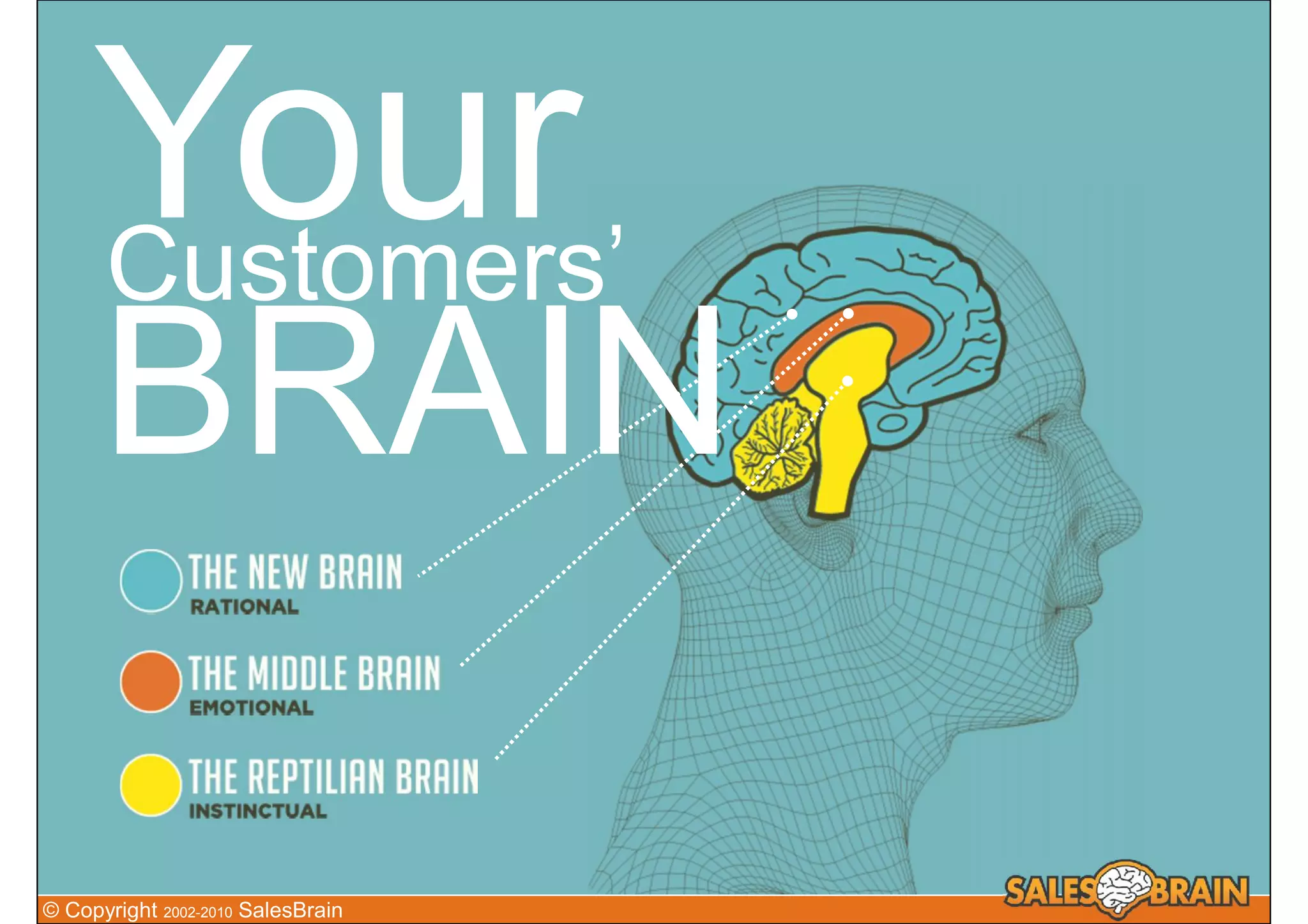 Sales Brain PTMS Istanbul Workshop | PDF